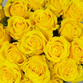 Geltonos rožės - Gėlių pristatymas Vilniuje - Beatričės Gėlių Namai