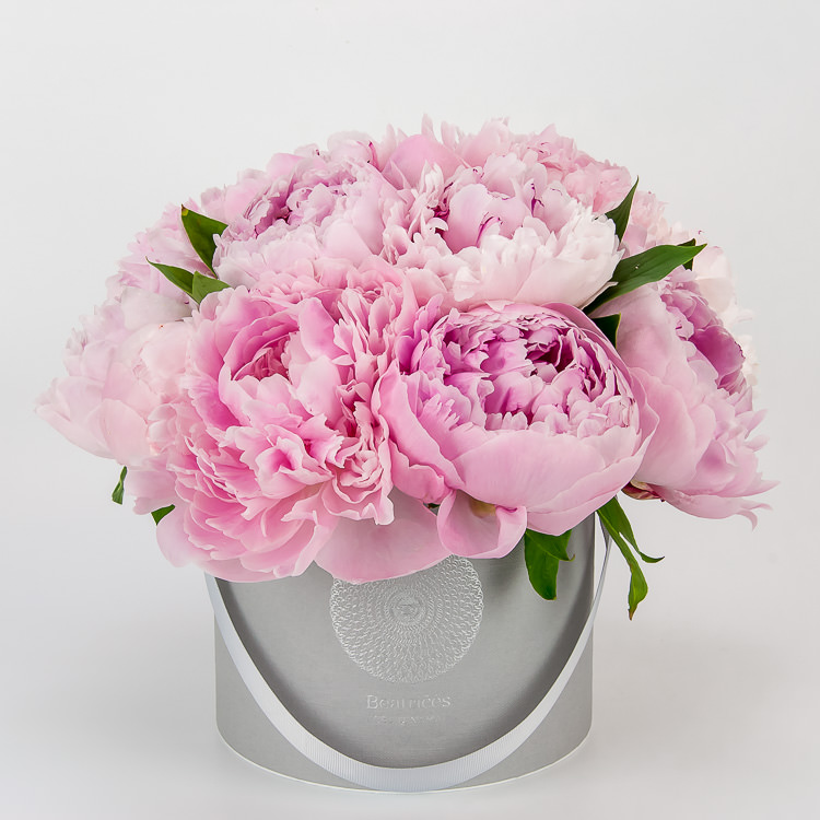 Gray flower box with pink peonies - Vilnius Flower Delivery - Beatričės ...