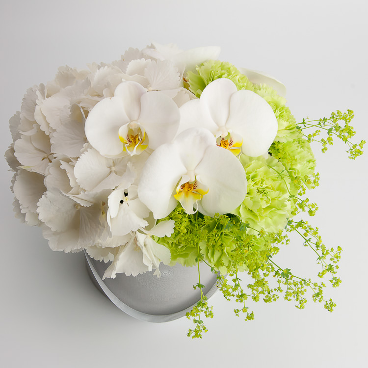 Gray flower box with orchids - Vilnius Flower Delivery - Beatričės ...